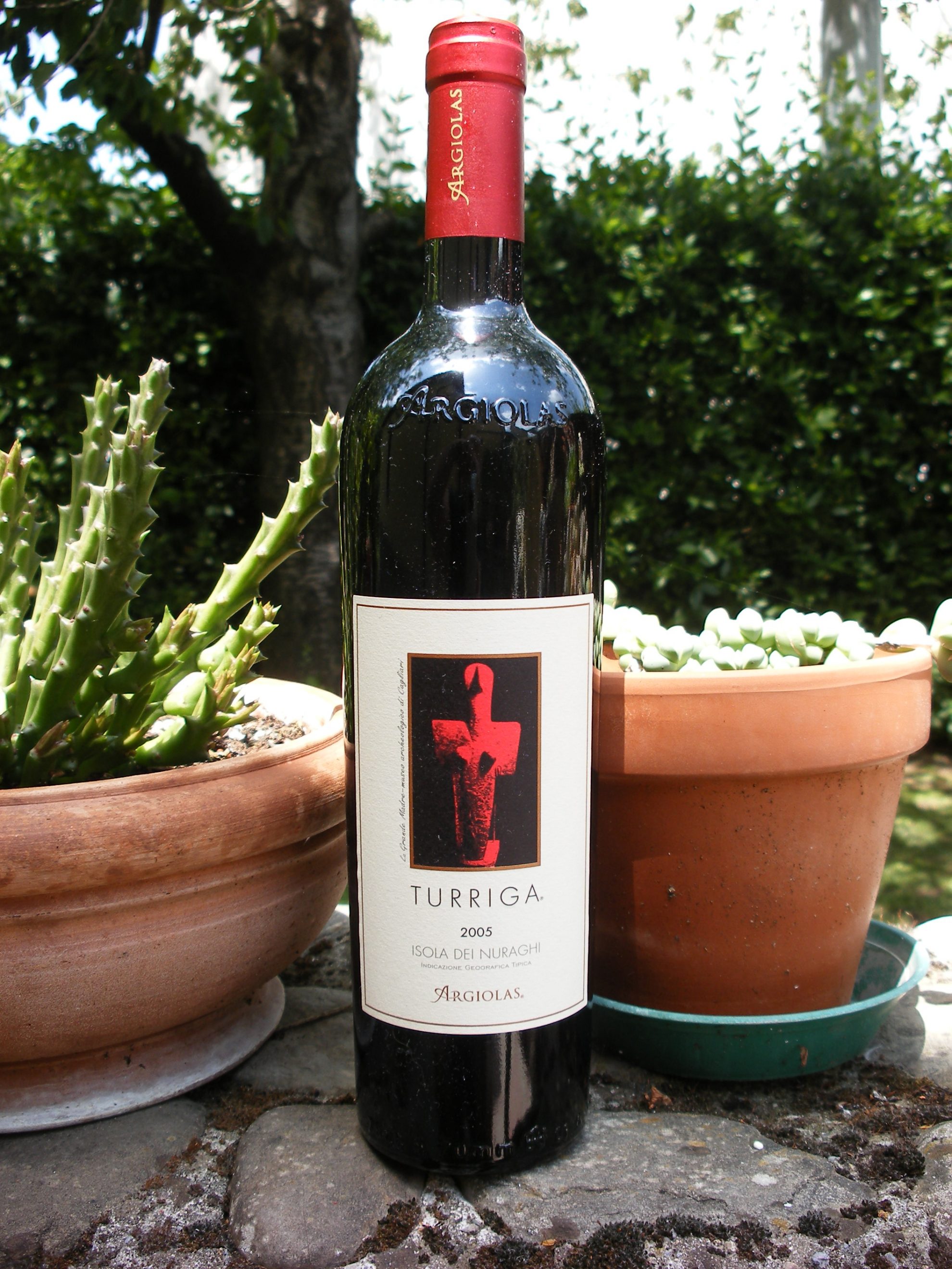 TURRIGA – L'amatore del vino